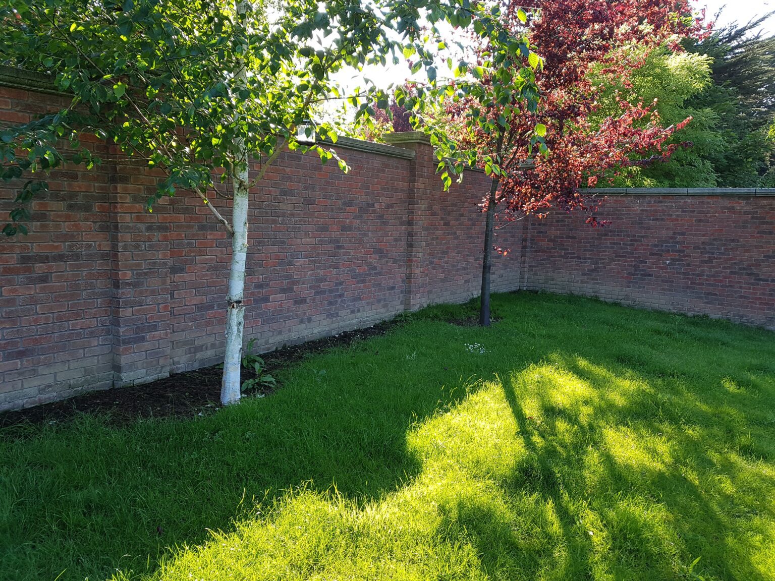 Multi Level Garden Design Foxrock - LandArt