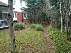 Simple & Traditional Garden Design Foxrock - LandArt.ie