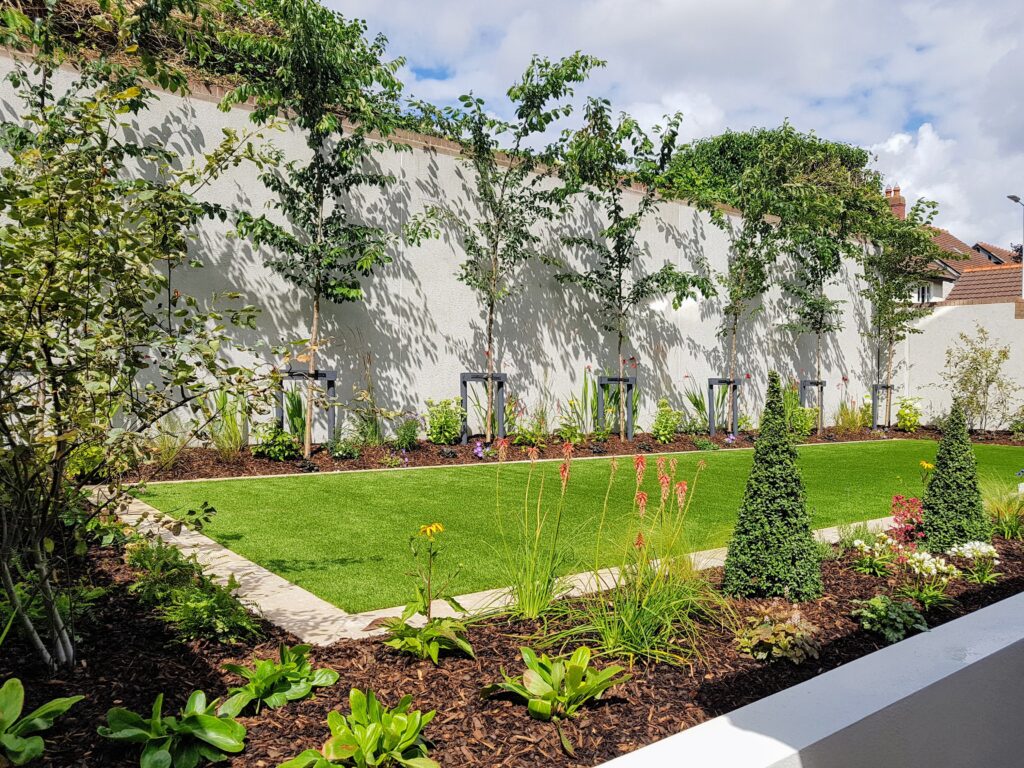 Clean, Crisp & Contemporary Garden Design in Cabinteely